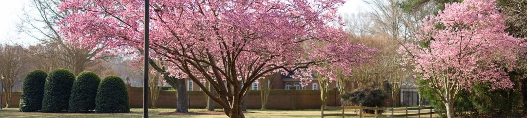 General Club Meeting - New Inklings Society | Regent University