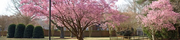 General Club Meeting - New Inklings Society | Regent University