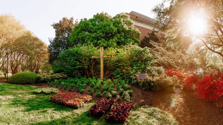 Human Flourishing— Christian Flourishing Summer School