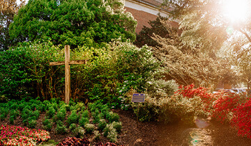 Human Flourishing— Christian Flourishing Summer School